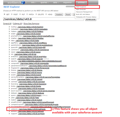 Salesforce - REST API and Queries with workbench - Treta Infotech
